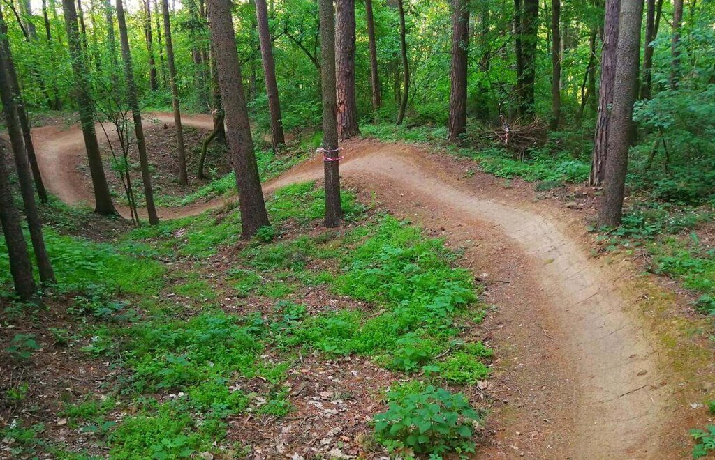 Singletrail KRAS | Hotel KRAS