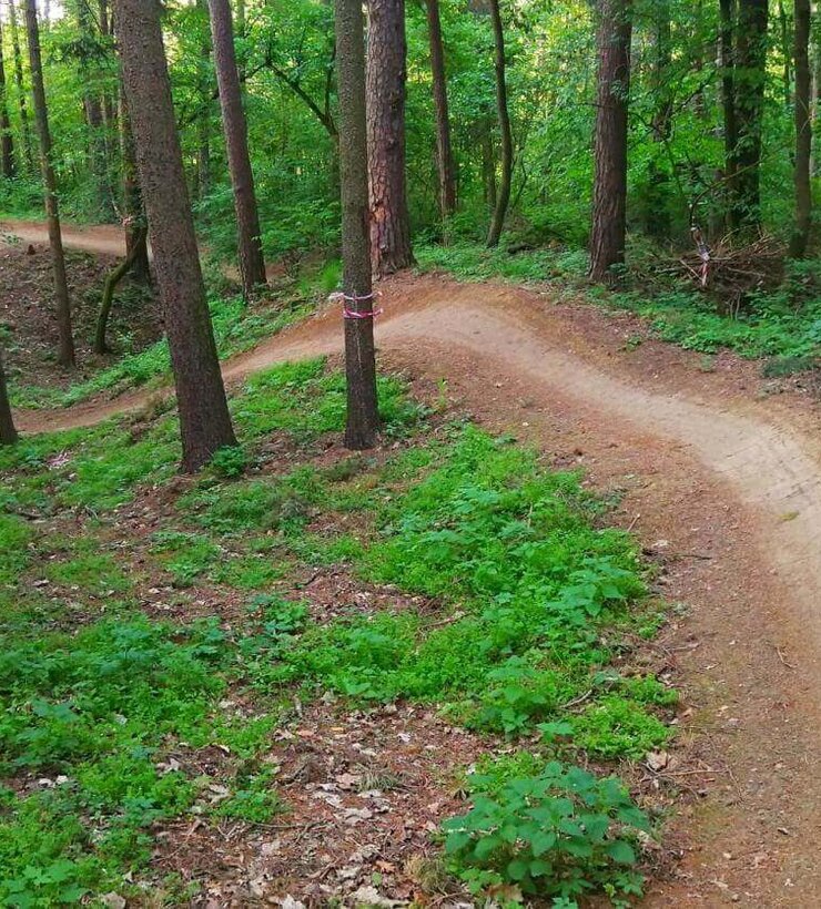 Singletrail KRAS | Hotel KRAS